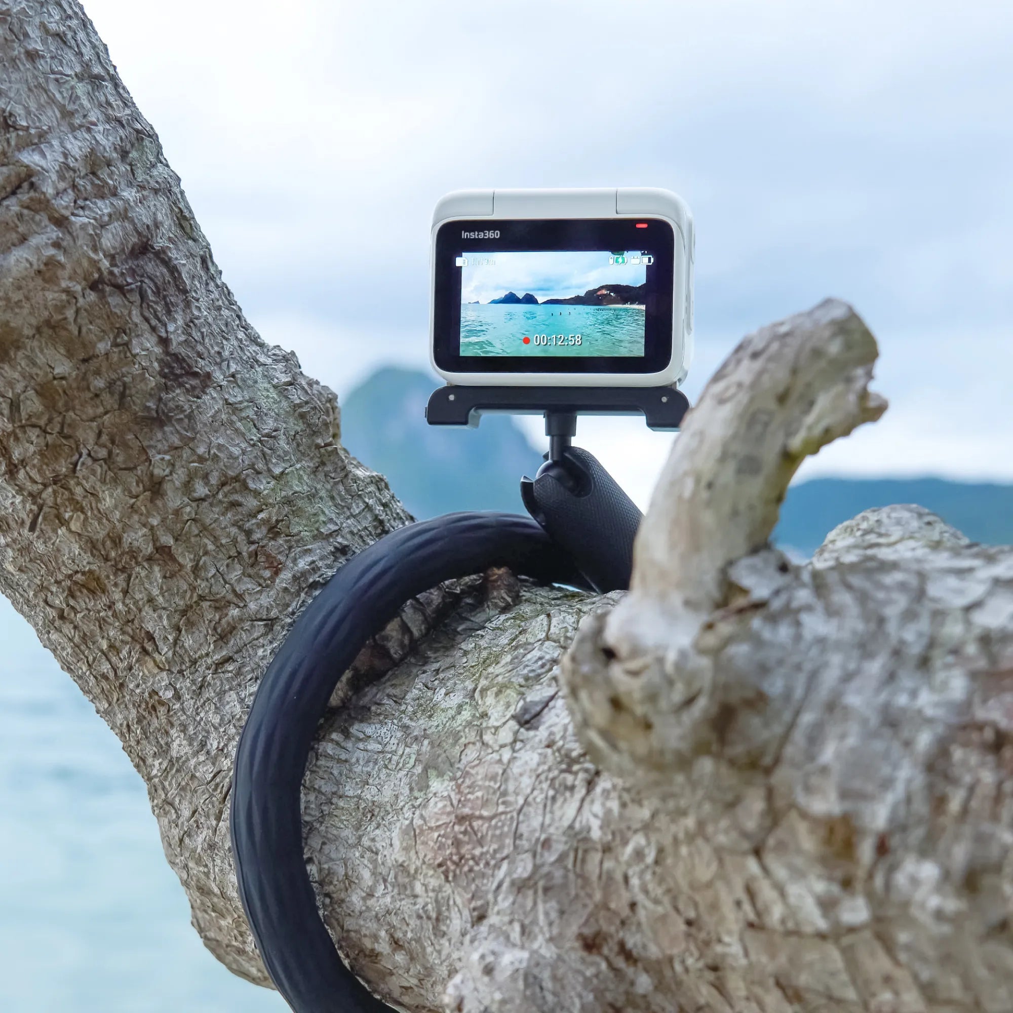 Monkey Tail Mount – Insta360